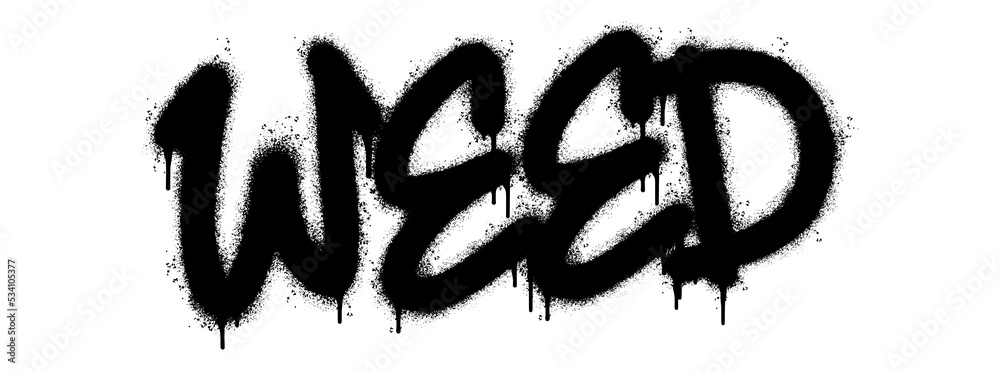 Spray Painted Graffiti Weed Word Sprayed isolated with a white ...