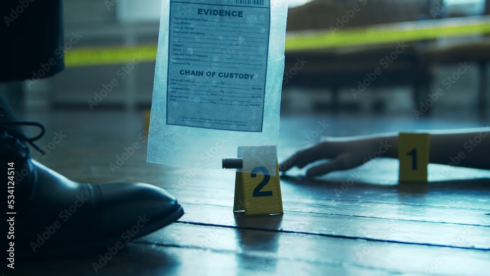 Detective Collecting Evidence in a Crime Scene. Forensic Specialists ...