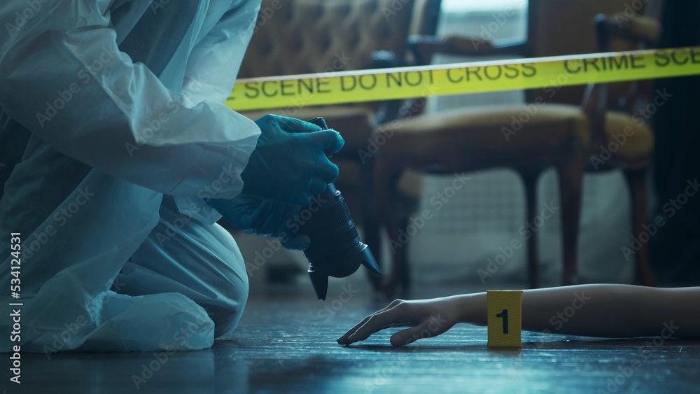 Detective Collecting Evidence in a Crime Scene. Forensic Specialists ...