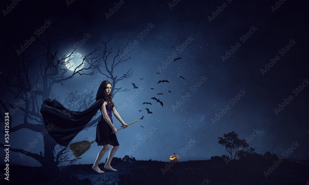 Witch on the broom . Mixed media Stock Photo | Adobe Stock