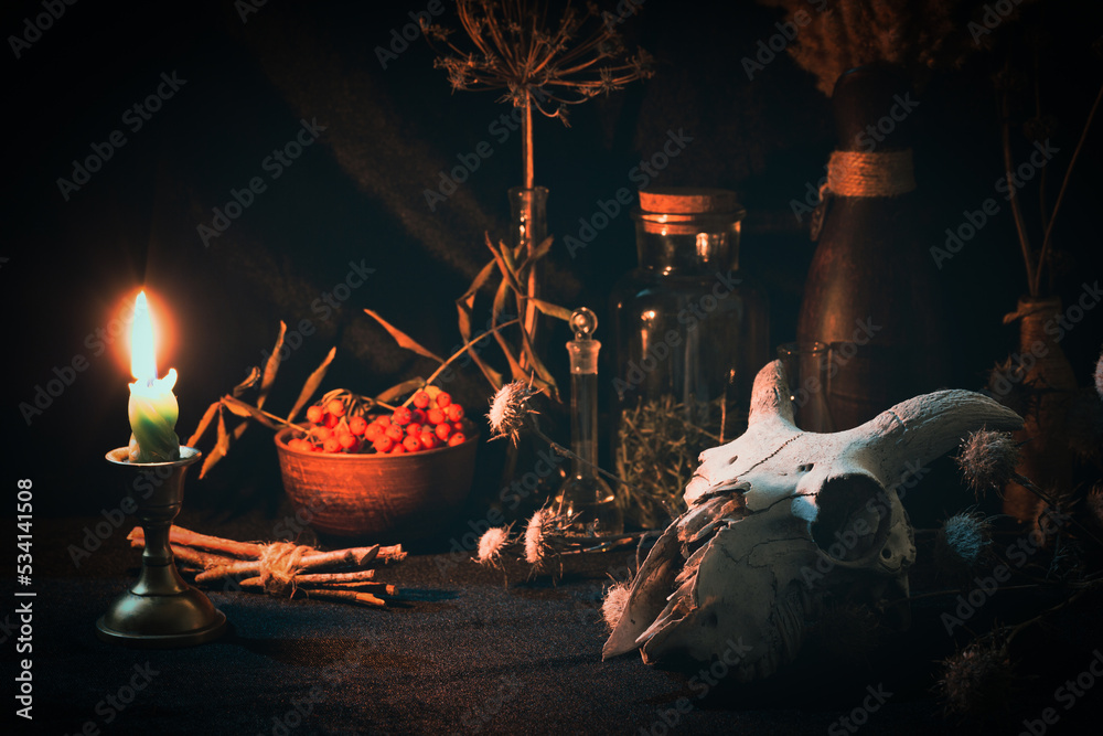 Samhain night. Witchs altar with goats skull, burning candle, dry herbs ...