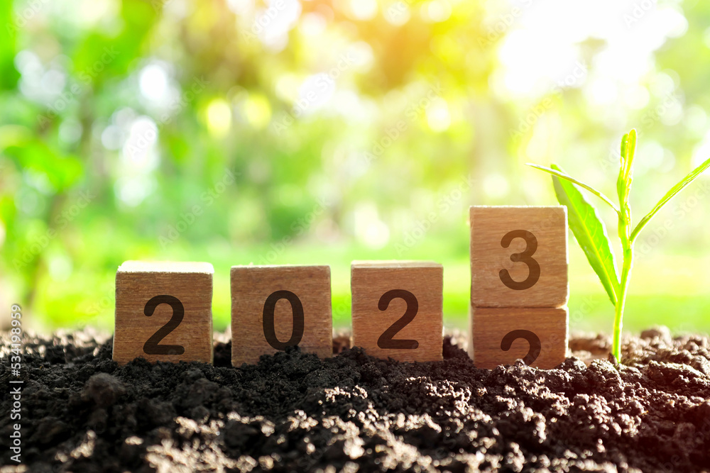 Hand changing year 2022 to 2023 in wooden blocks cubes with growing ...