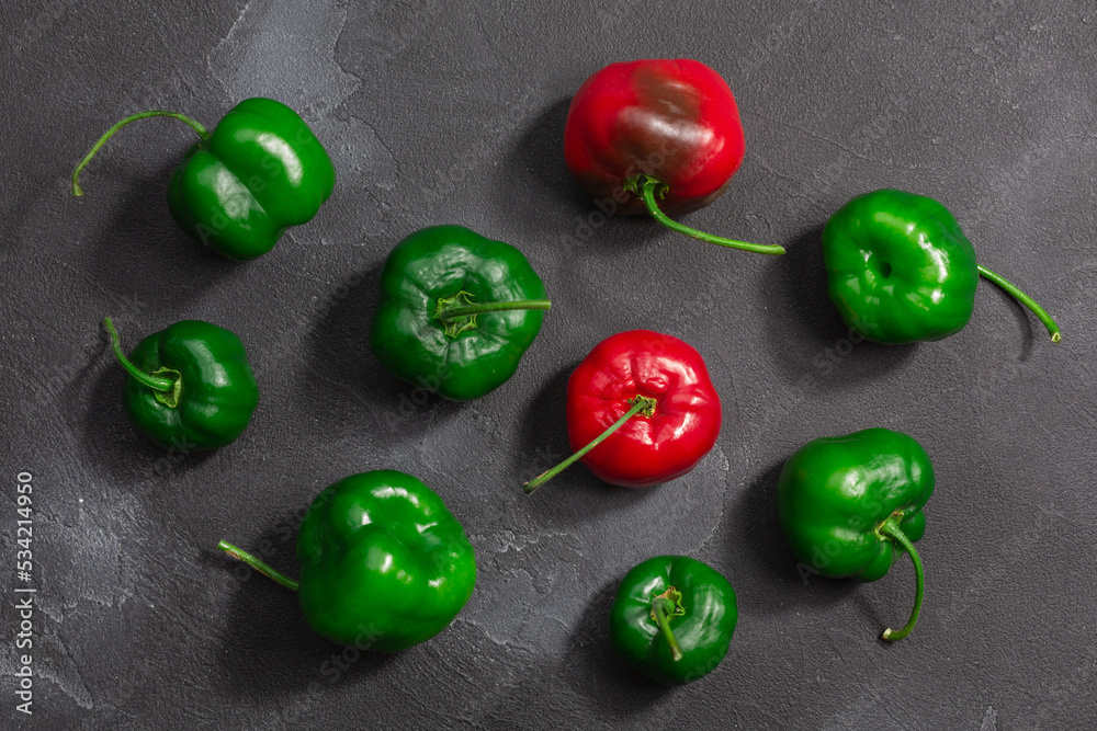 Rocoto Manzano chile peppers, top view. Scattered Capsicum pubescens ...