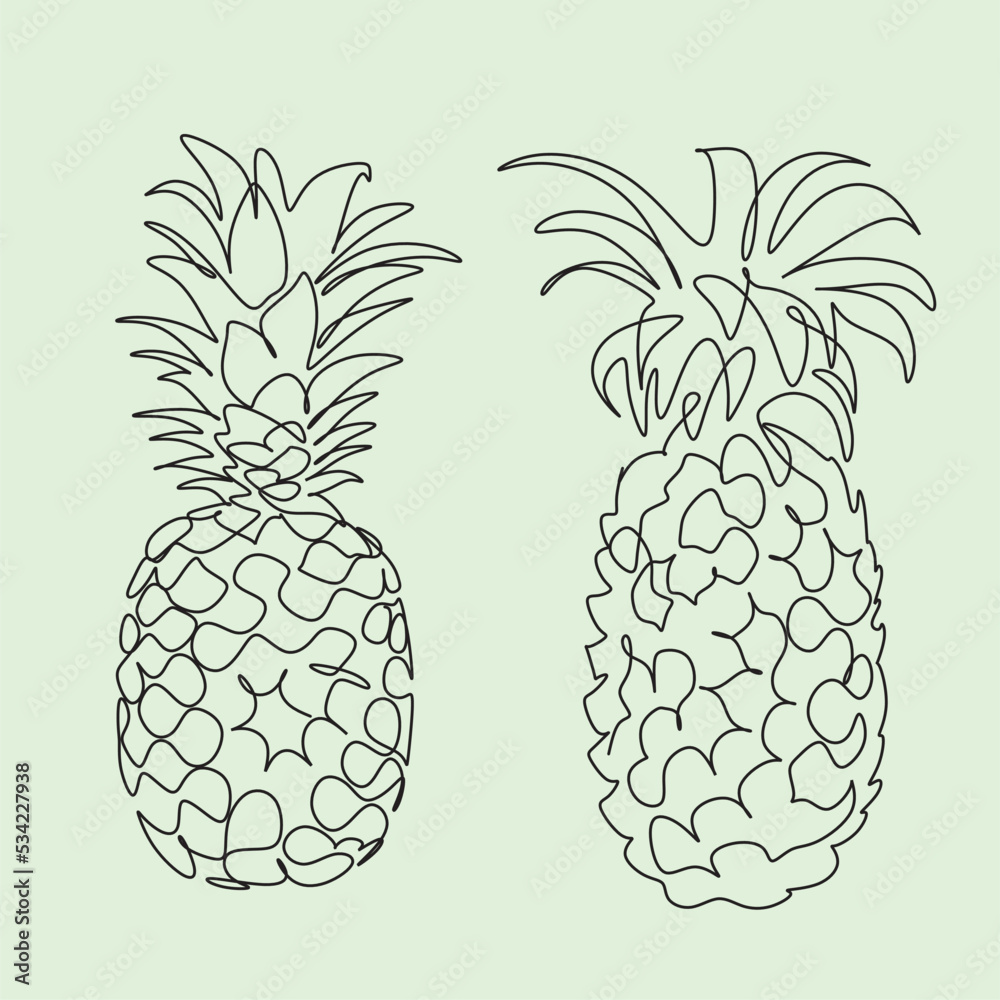 pineapple vector line art. Tropical Fruits line drawing illustration ...
