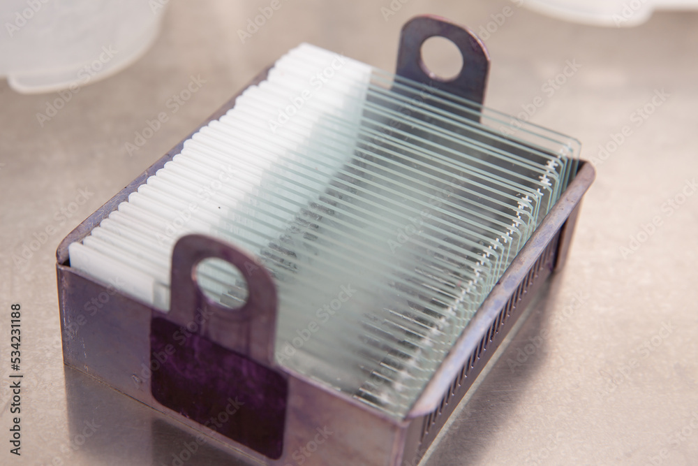 Slides with paraffin embedded tissue samples into a slide staining rack ... Slides with paraffin embedded tissue samples into a slide staining rack ...