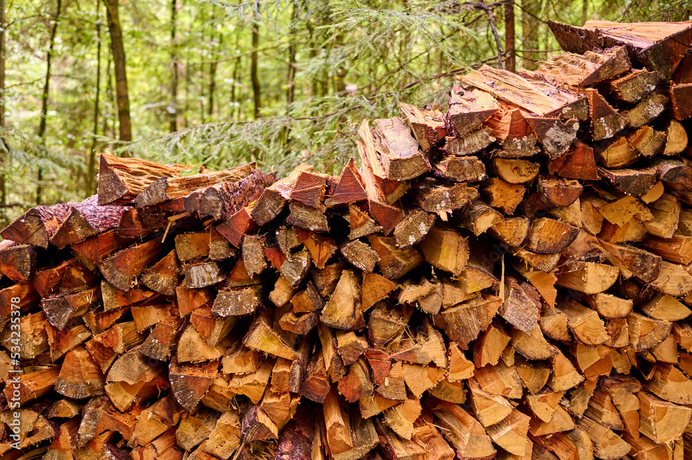 Ein Holzstapel Brennholz im Wald. Stock Photo | Adobe Stock