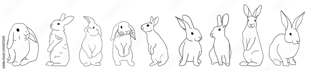 Cute rabbit line art set. Bunny sketch illustration. Isolated on white ...