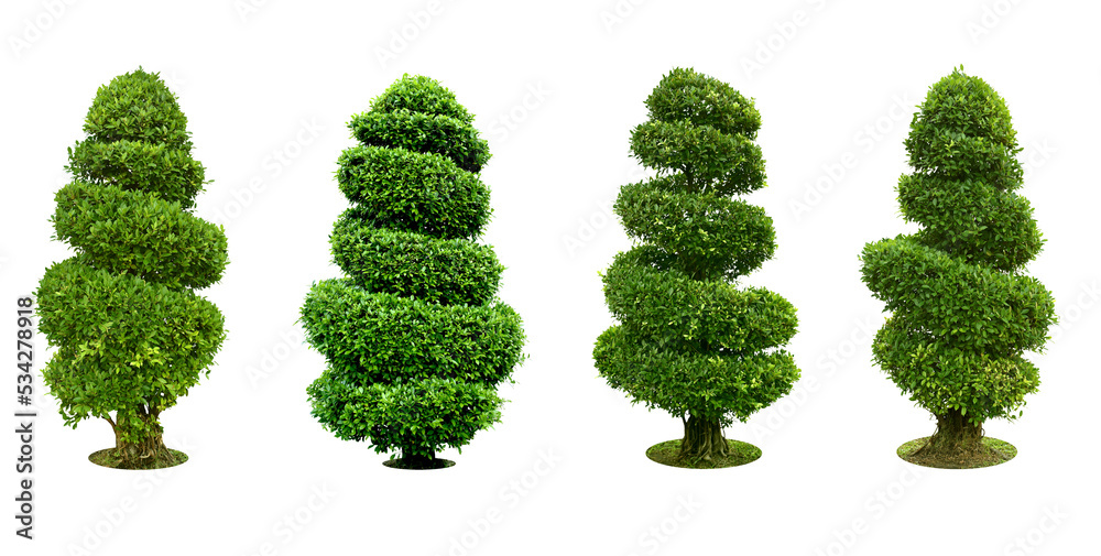 Collection of Tree decorations, garden. (bush, shrub) Characteristics ...
