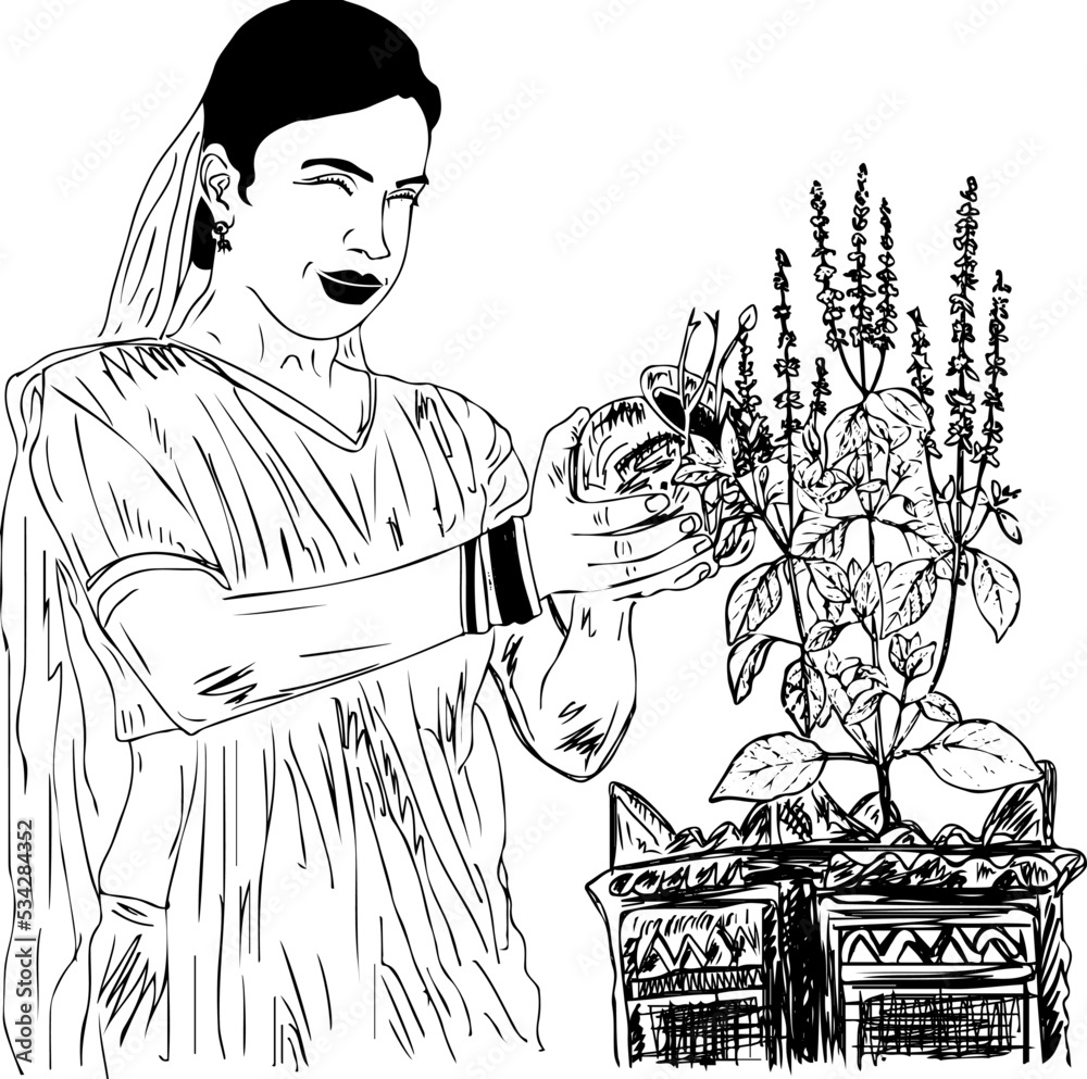 Woman worship tulsi puja sketch drawing, Tulsi vivah outline vector ...