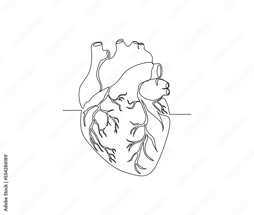 Continuous one line drawing of Human Heart. Heart line art drawing ...