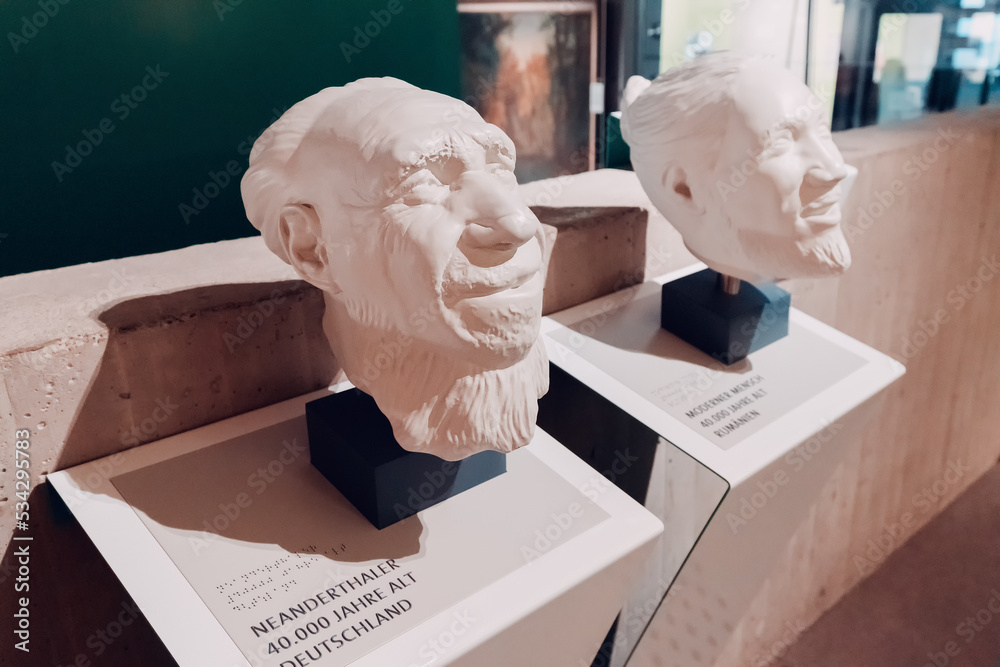 22 July 2022, Neanderthal museum, Germany: Reconstruction of the skull ...