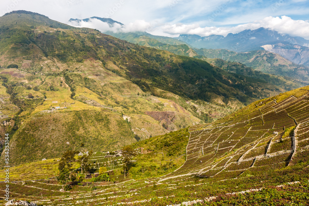Traditional Dani tribe village with round houses (called Honai) and ...