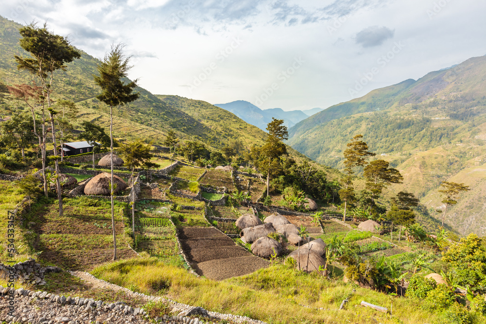 Traditional Dani tribe village with round houses (called Honai) and ...
