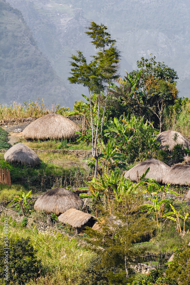 Traditional round houses (called Honai) with vegetal roof, village in ...