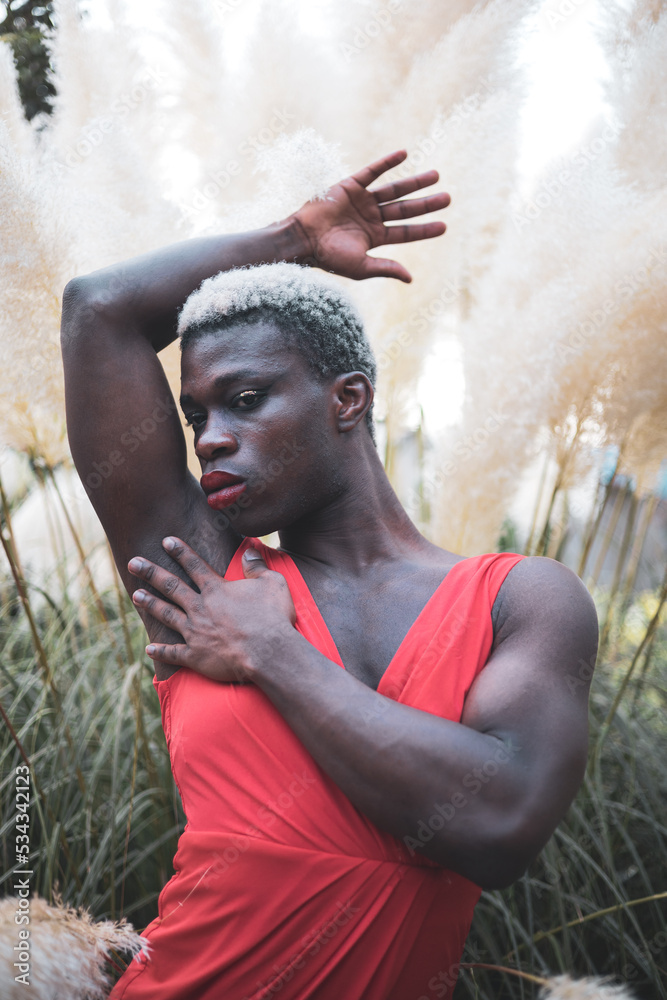 Fotka „A young black model poses in a red dress outdoors.Concept of ...