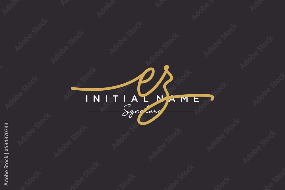 Initial EZ signature logo template vector. Hand drawn Calligraphy ...