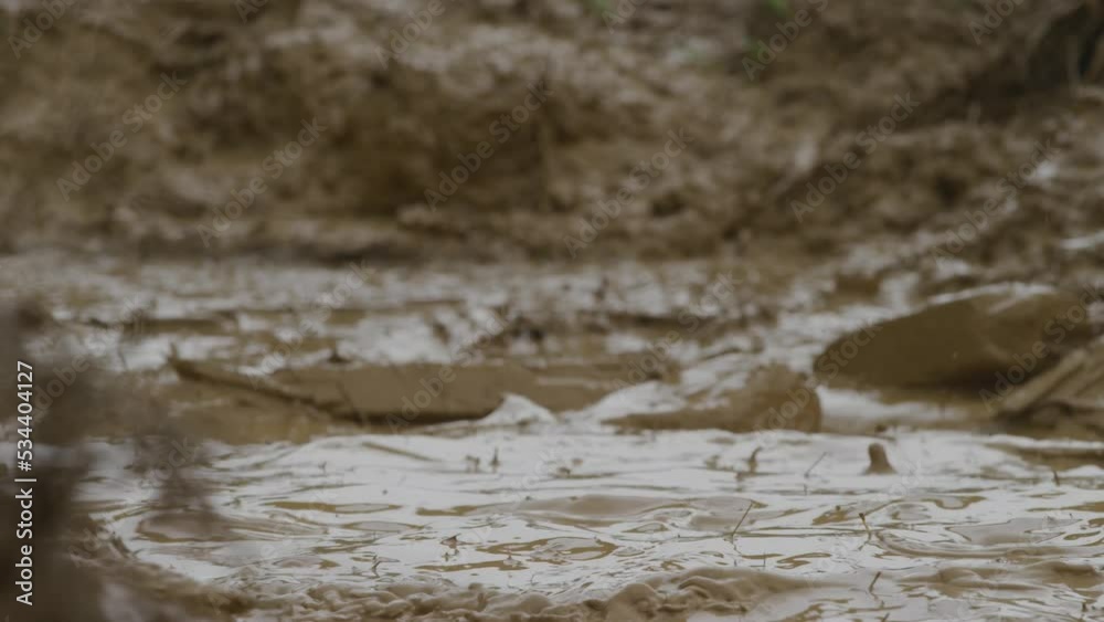 Slow motion close up mud splash in mud puddle surrounded by dirt Stock ...