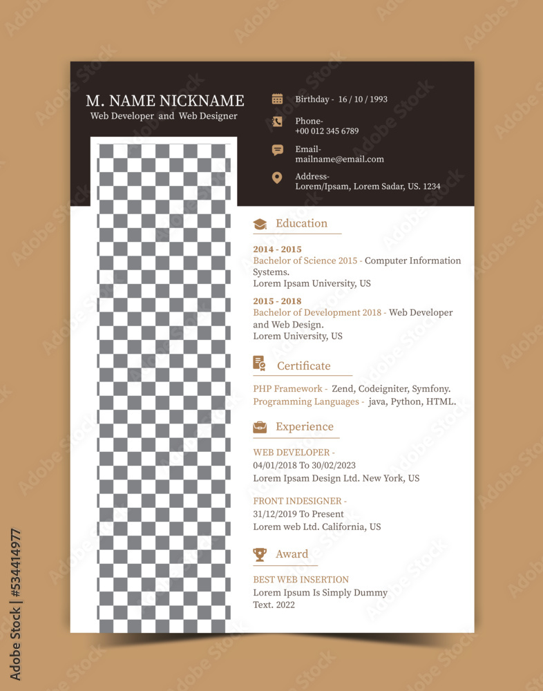 Web developer and web designer resume, CV design template, and profile ...