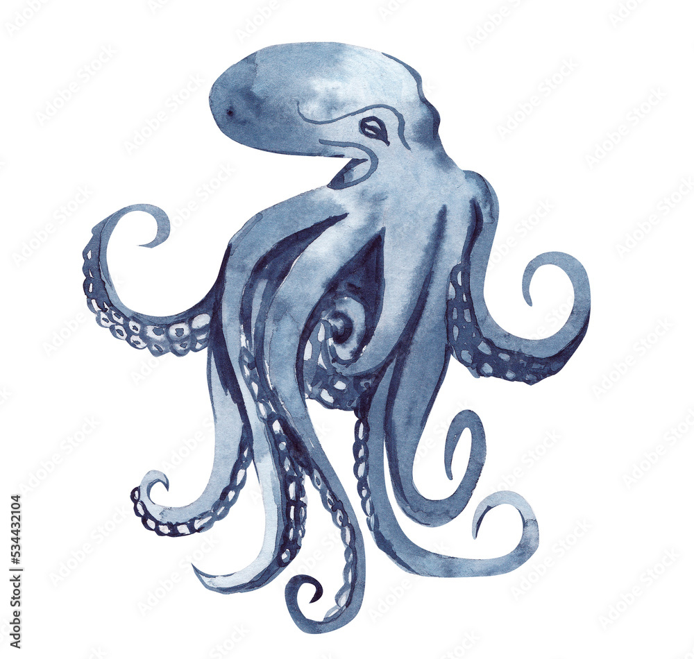 Watercolor illustration with an indigo octopus on a transparent ...