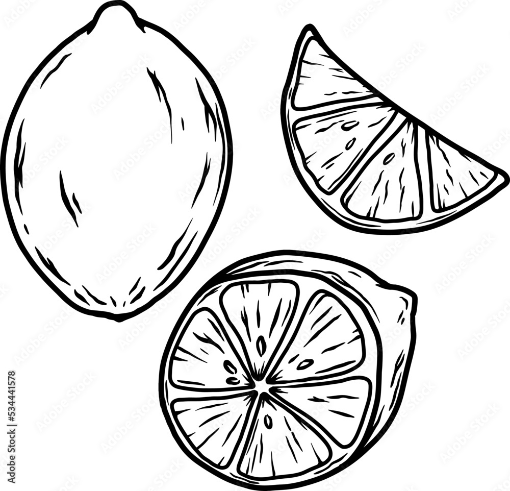 Illustration of lemon. Tropical fruits. Design element for poster, menu ...