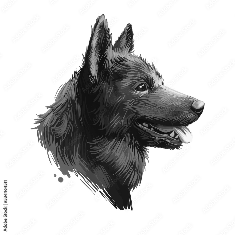 Kai Ken, Tora dog, Kai dog digital art illustration isolated on white ...