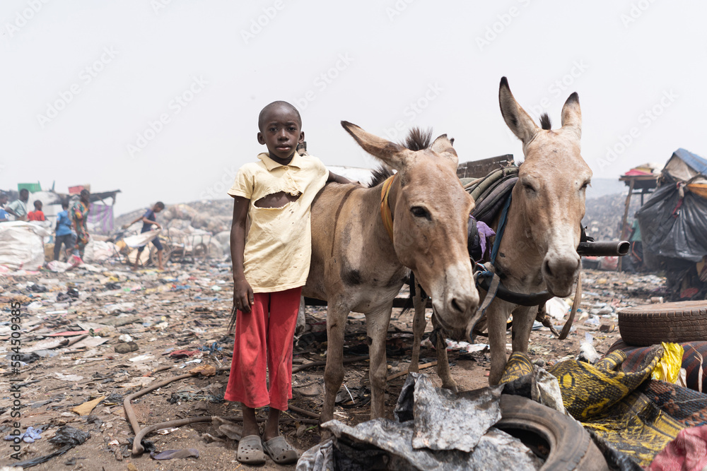 Little African boy standing next to his donkeys in an illegal landfill ...