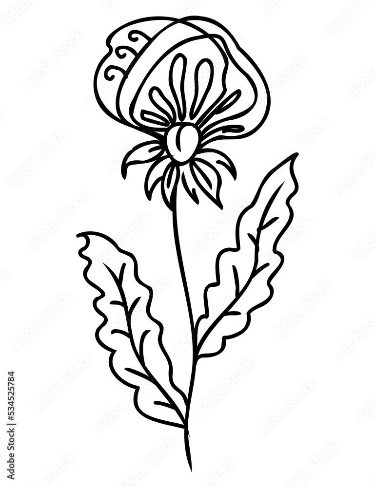 Line art flower drawing. PNG with transparent background. Stock ...