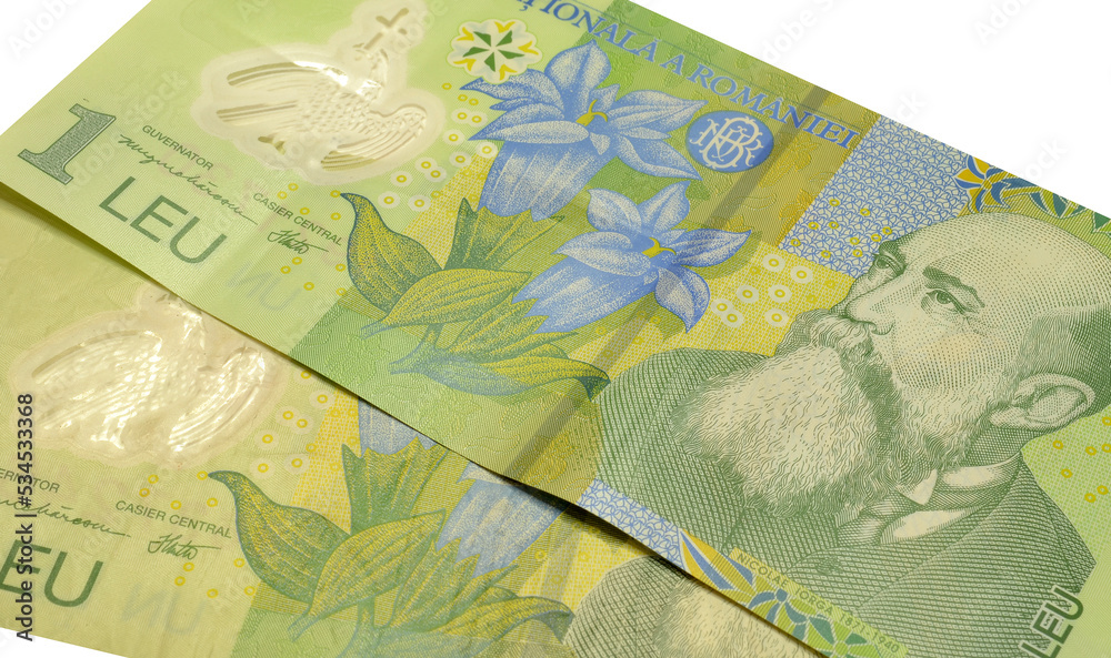 One lei banknote printed by Romania, that shows Nicolae Iorga, Milkweed ...