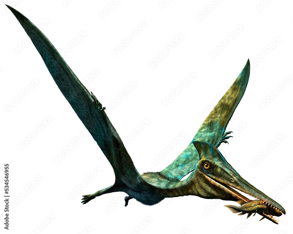 Pterodactylus prehistoric dinosaur 3D illustration Stock Illustration ...