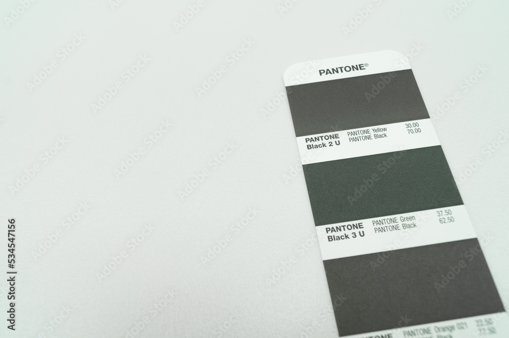 Berdsk, Russia - 22 May 2022: Pantone color guide. Palette of grey ...