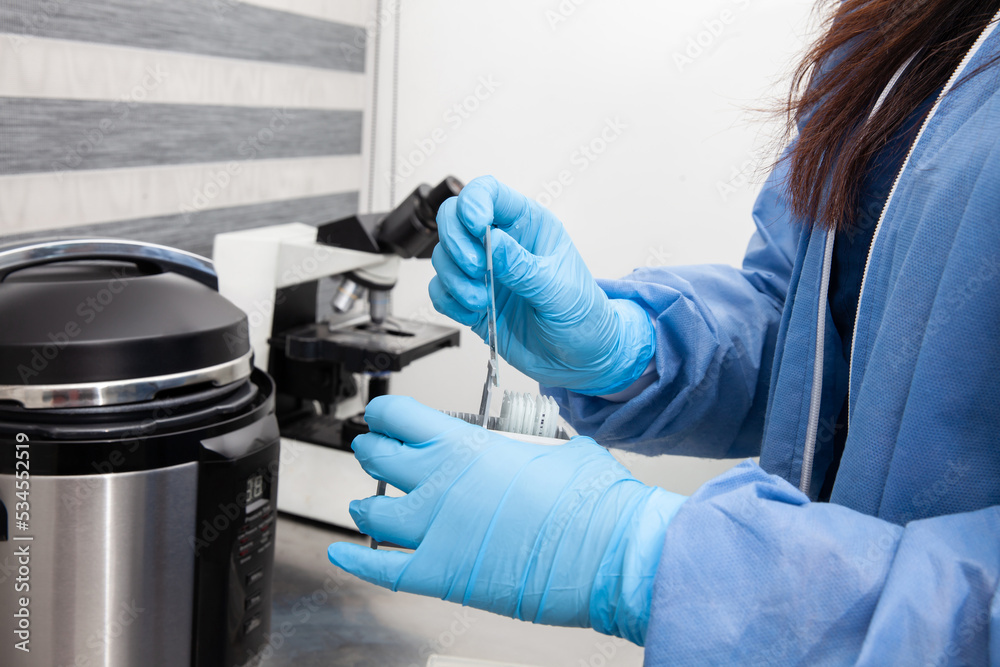 Scientist preparing slides with tissue samples for immunohistochemistry ...