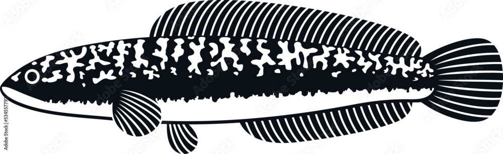 Snakehead logo. Isolated snakehead on white background Stock Vector ...