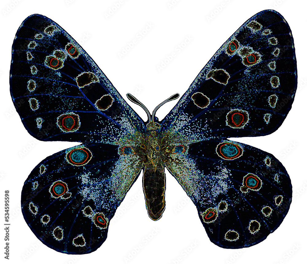 Fantastic beautiful blue butterfly with red spots isolated on white ...