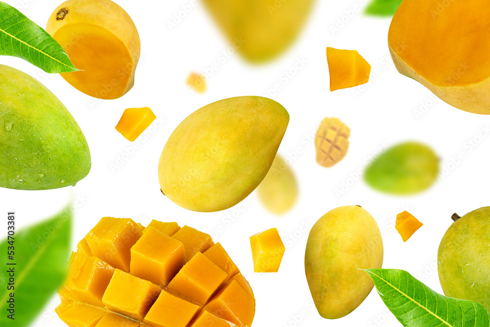 Falling yellow mango with leaves isolated on white background ...