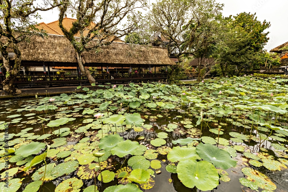 Saraswati temple pond with lotus plants in Ubud, Bali, Indonesia Stock ...