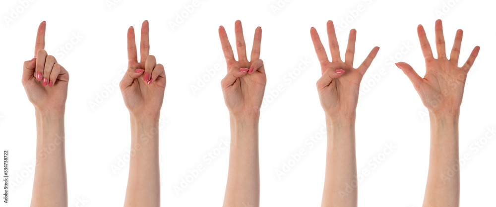 Five counting female hands isolated on transparent background Stock ...