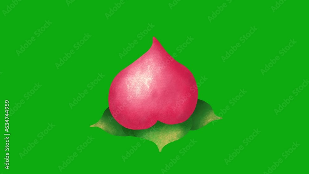 Chinese Peach animation on a green screen. Chinese Peach animation with ...