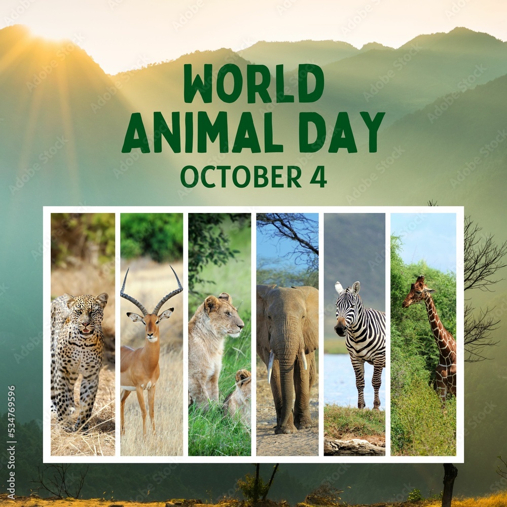 World Animal Day is a social movement charged with the Mission of ...