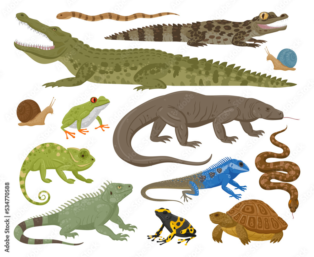 Cartoon reptile and amphibian, lizard, snake, chameleon. Wild animals ...