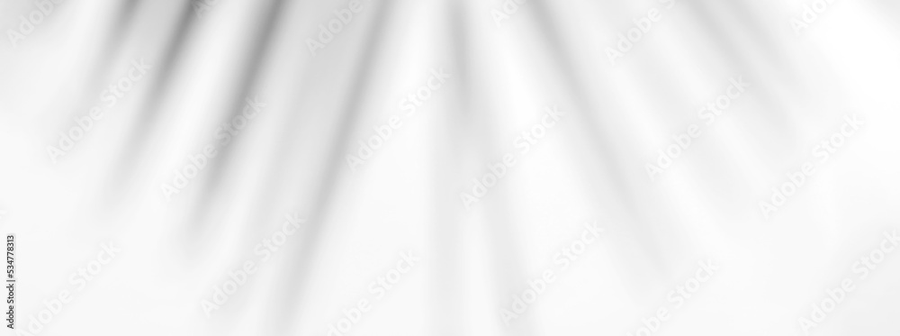 Leaves natural shadow overlay on white texture background, for overlay ...