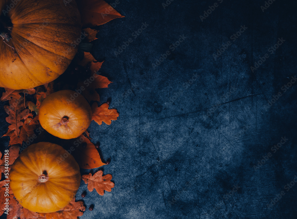 autumn halloween pumpkins on wooden background Stock Photo | Adobe Stock