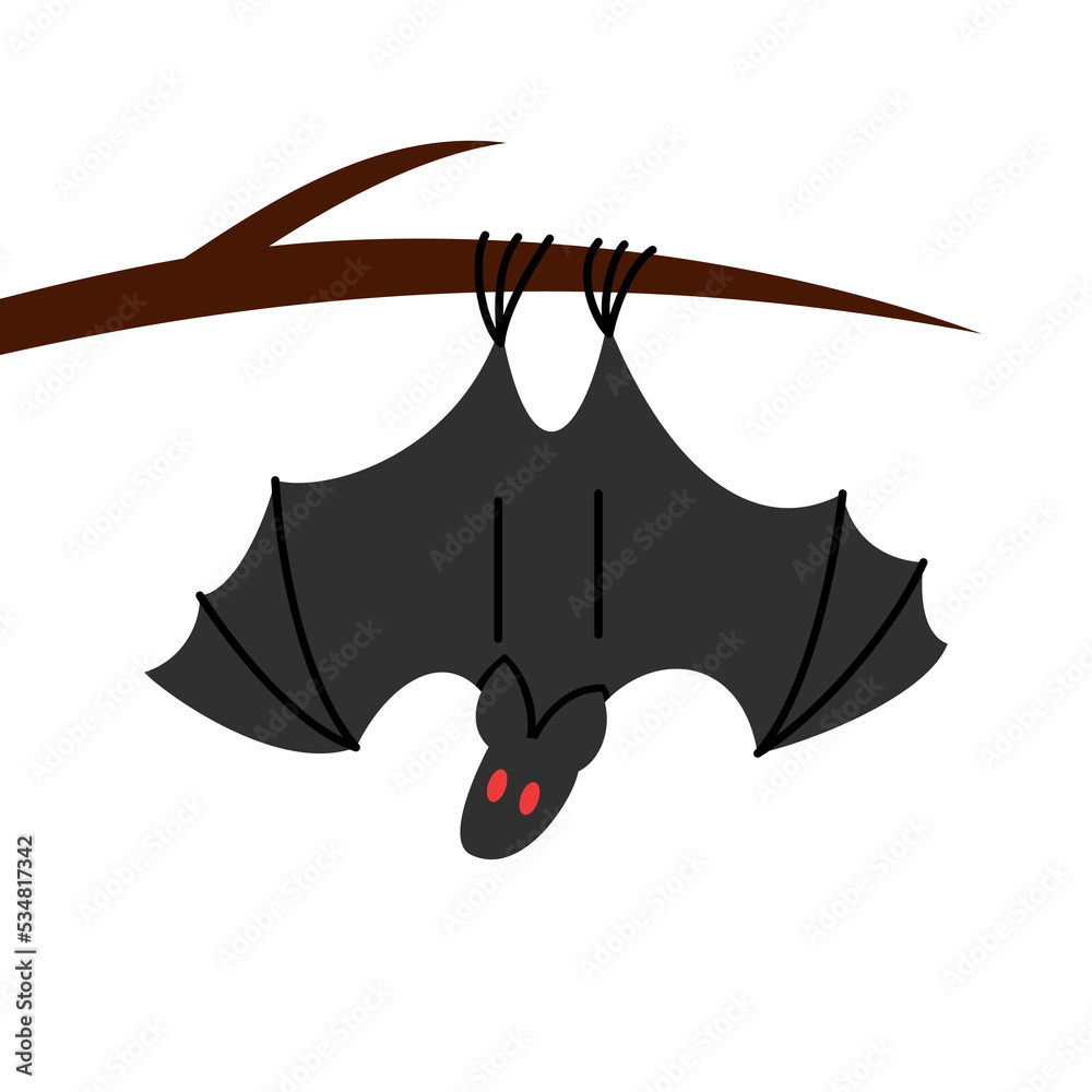 Bat hanging upside down on a branch. Gray creature isolated on white ...