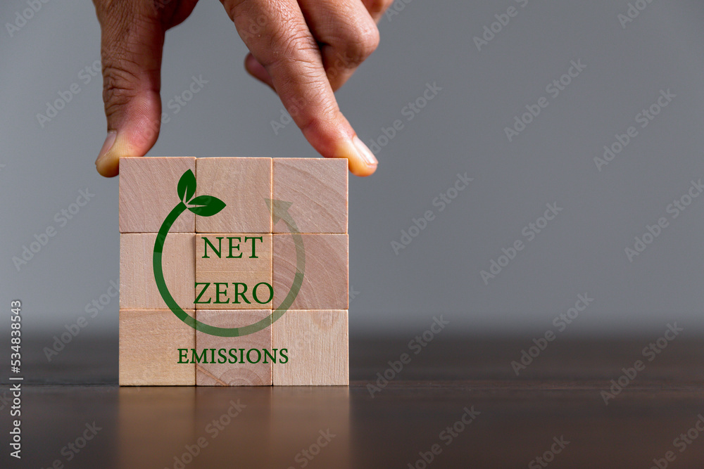 Companies are targeting net zero greenhouse gas emissions. Carbon ...