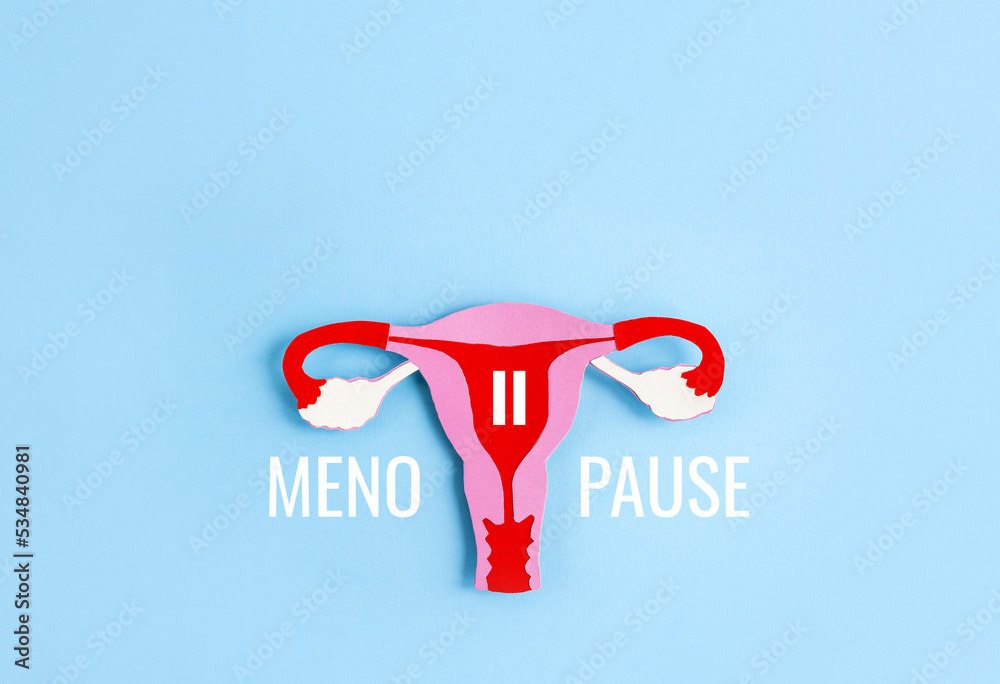 Paper application of the uterus from colored cardboard and word ...