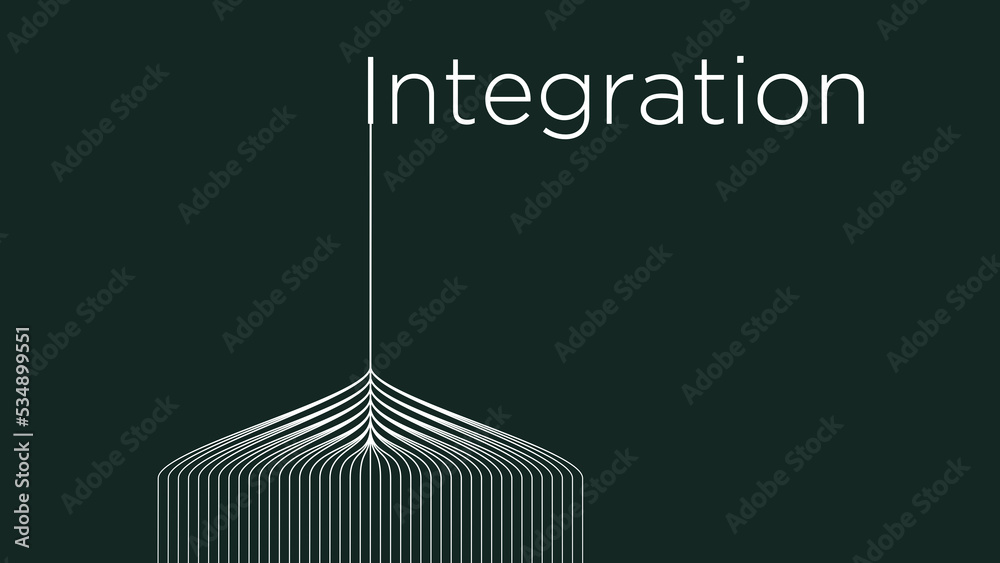 System Integration Infographic Professional Services Business Strategy ...