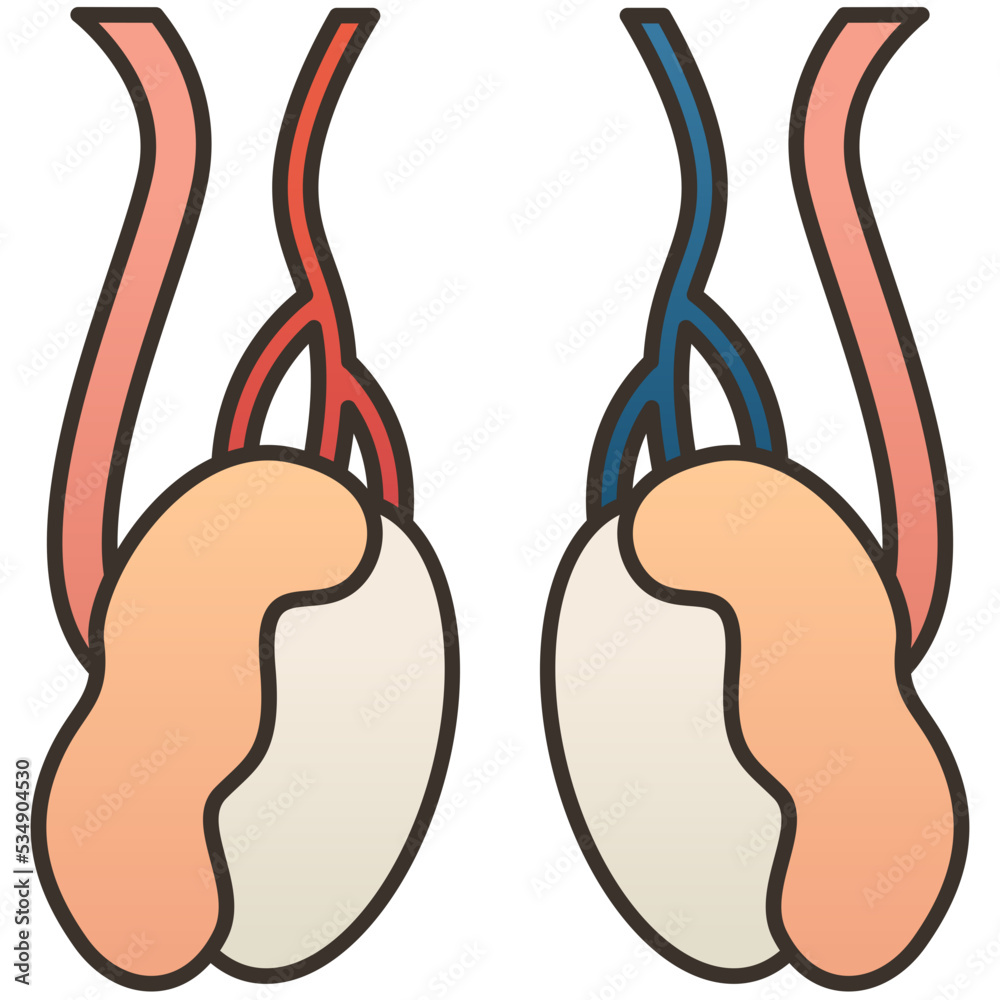 Testicles icon Stock Vector | Adobe Stock