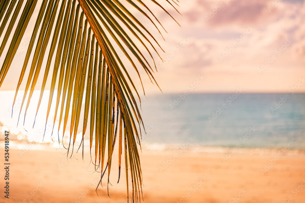 Artistic summer vacation blurred ocean beach view, horizon and sunset ...