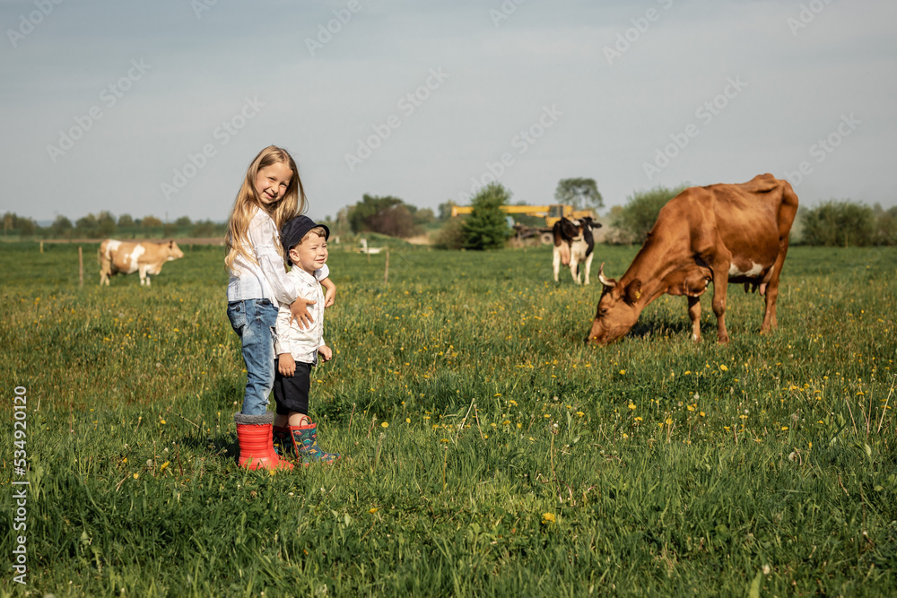 children boy and girl graze cows in the field, Happy Farmer children ...