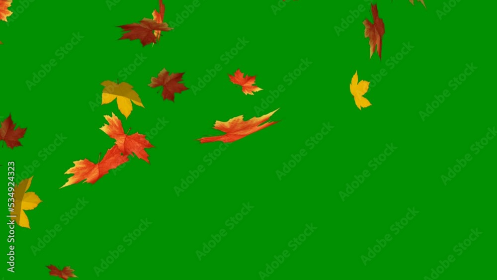 Autumn leaves falling green screen, falling leaves effect, 3D Animation ...