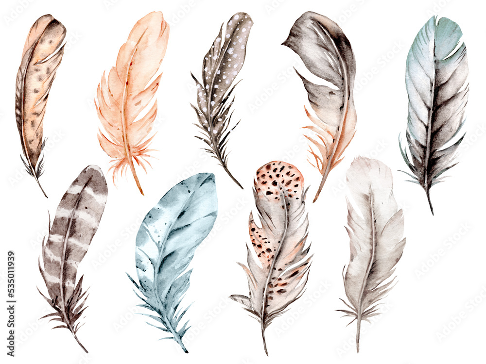 Bird feather set, watercolor boho illustration. Hand drawn. Suitable ...